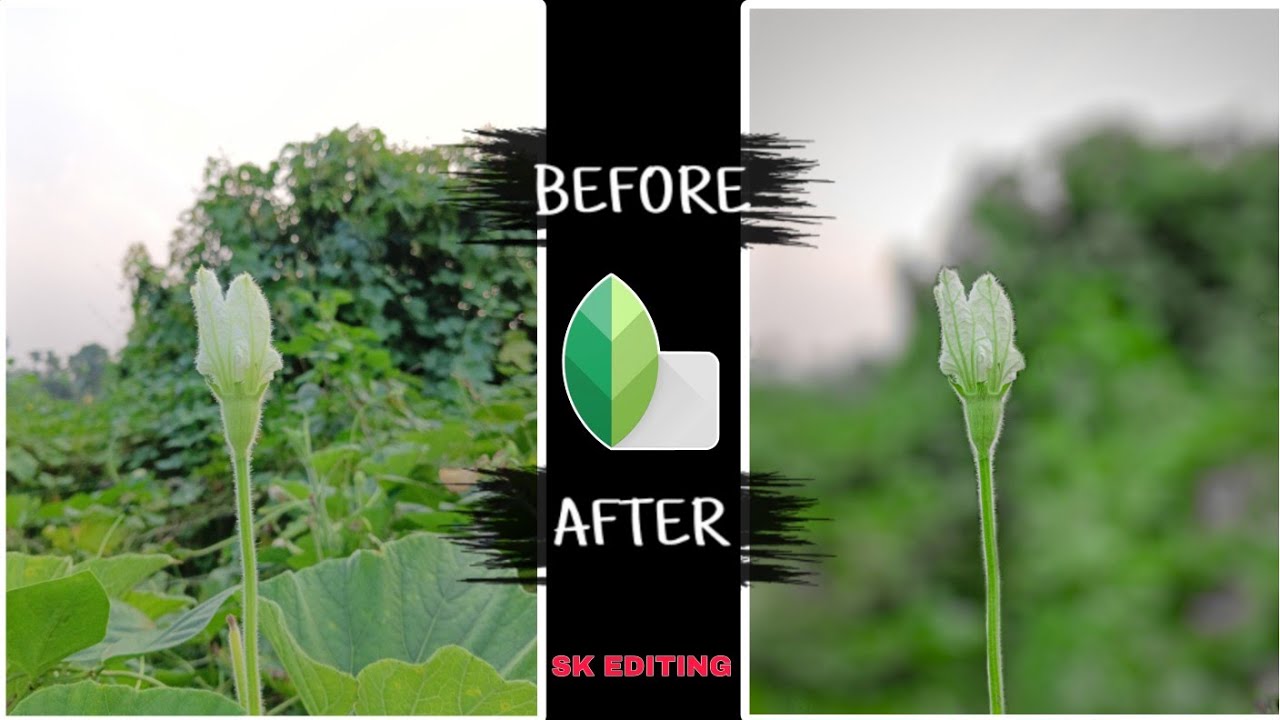 snapseed blur photo editing | how to blur background in snapseed | blur ...