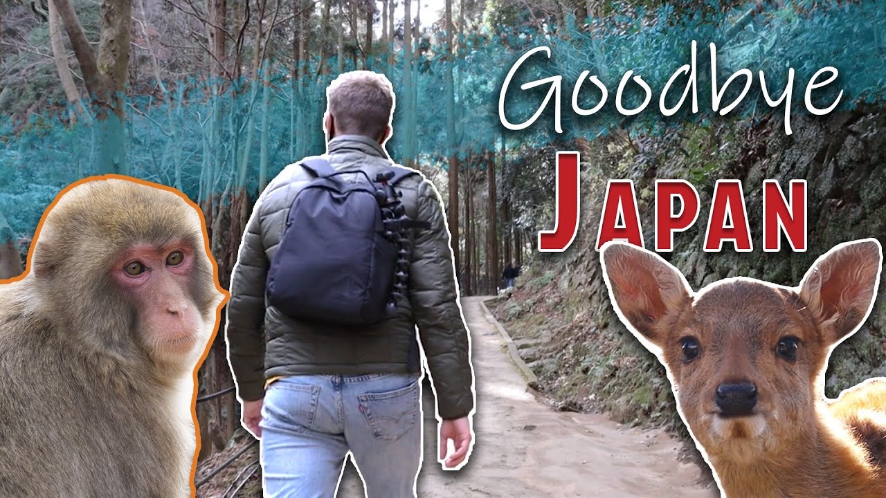 Final Days in Japan | Kyoto Monkeys! | Nara Deer! - YouTube