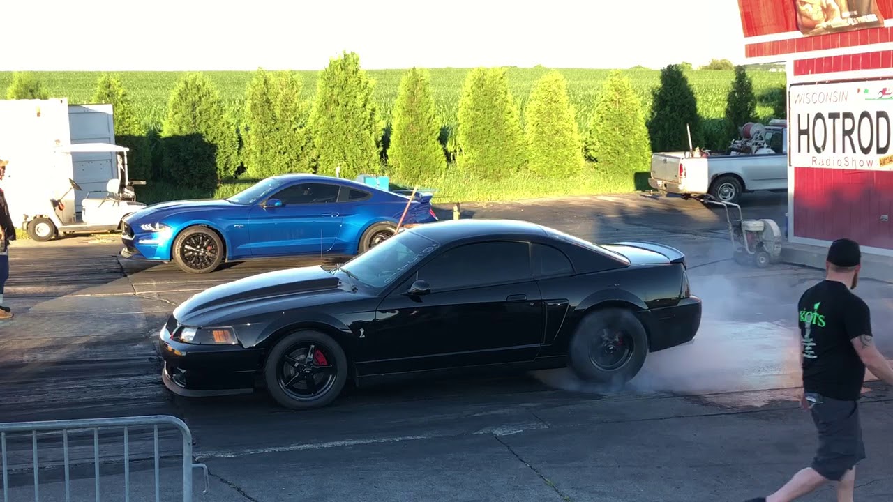03 cobra terminator vs 2018 mustang 5.0 - YouTube