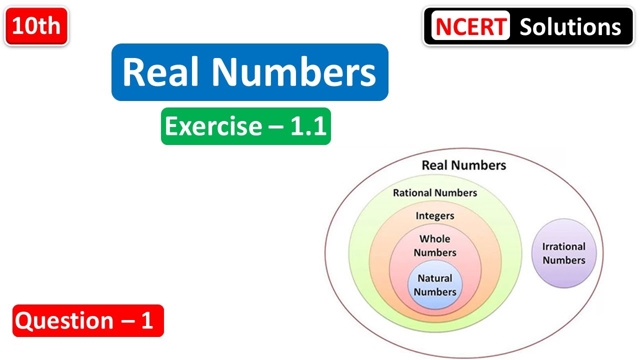 Chapter 1 Real Numbers Exercise 1 1 Ques 1 NCERT SOLUTION FOR chapter-1-real-numbers-exercise-1-1-ques-1-ncert-solution-for