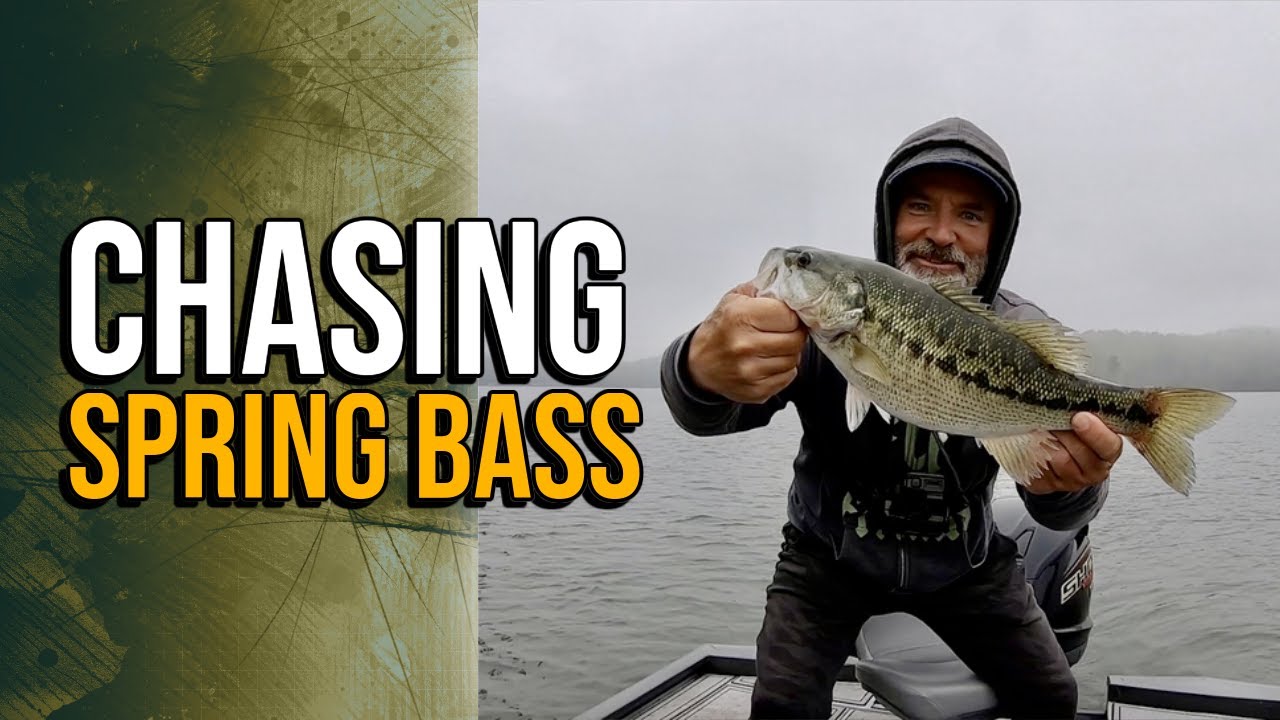 Chasing Spring Bass #bassfishing #lakelanierfishing2024 - YouTube