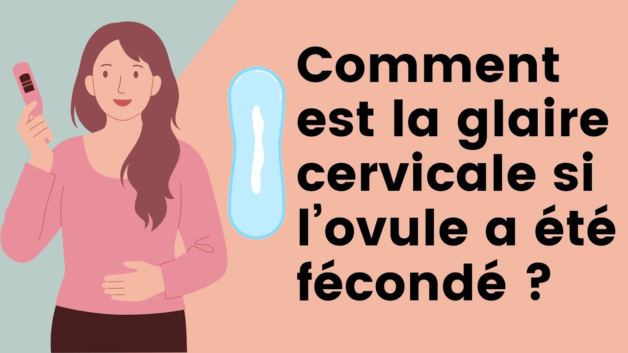 Quelles Sont Les Signes D’une Fécondation Réussie – XNCUC