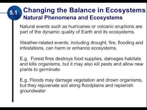 5.1 Changing the Balance in Ecosystems - YouTube