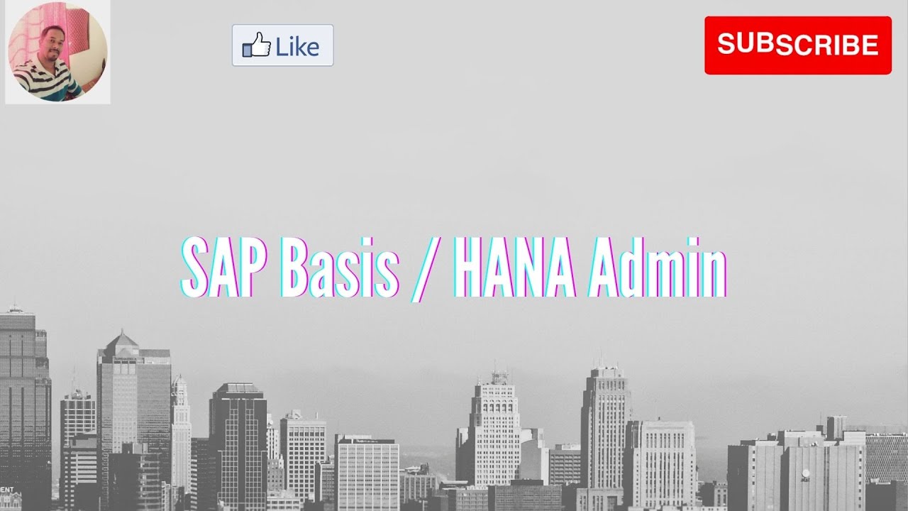 HANA Database monitoring Part 1 | tab Overview | HANA Studio - YouTube