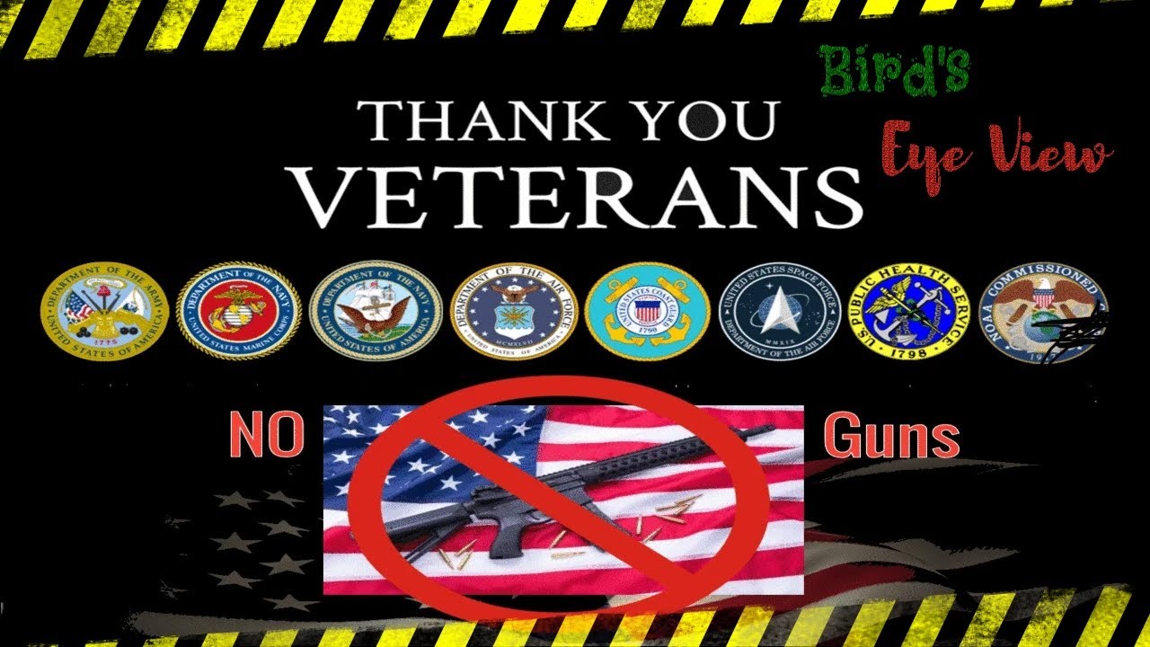 VA and Veterans' Gun Rights - Birds Eye View - YouTube