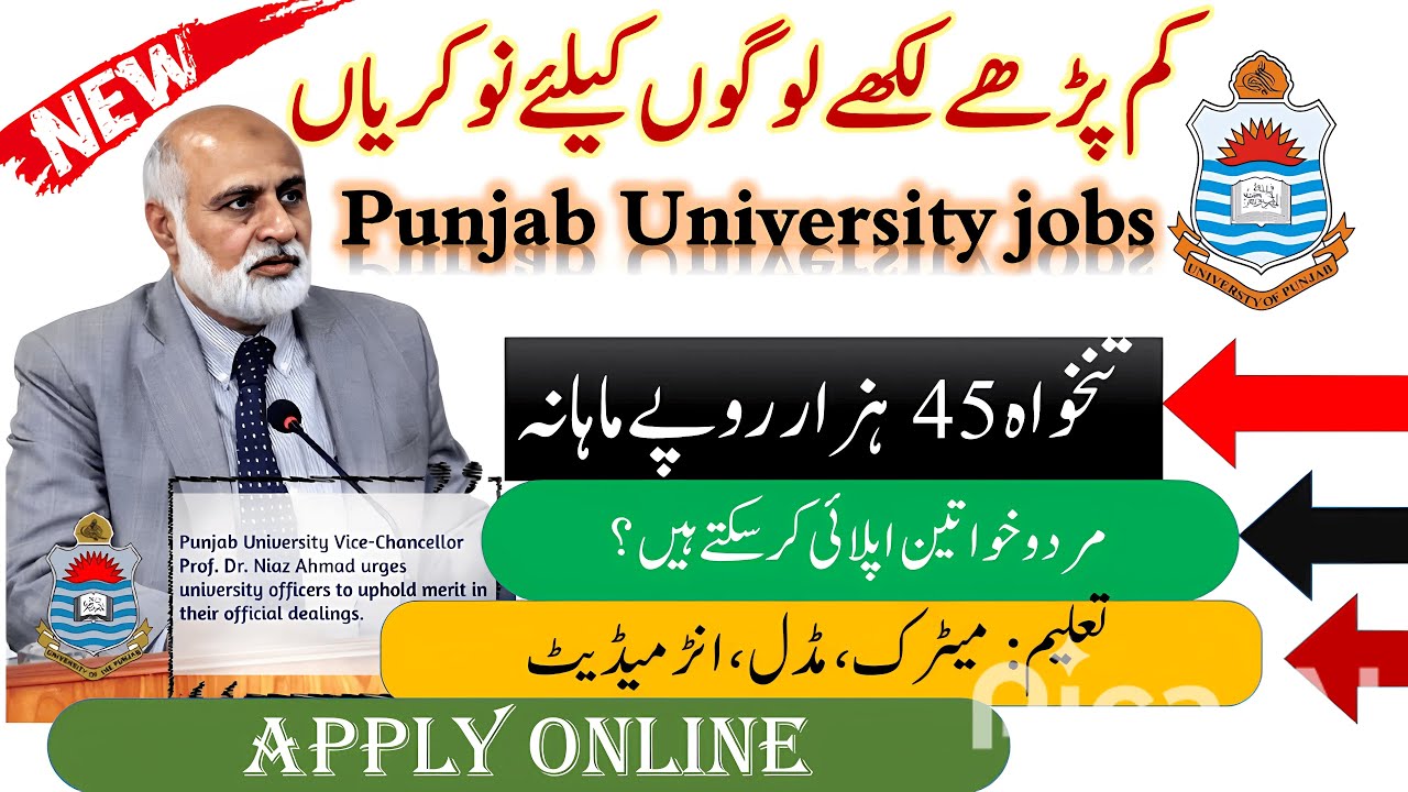 University Of The Punjab PU Jobs 2025 | Pakistan Government job PU New ...