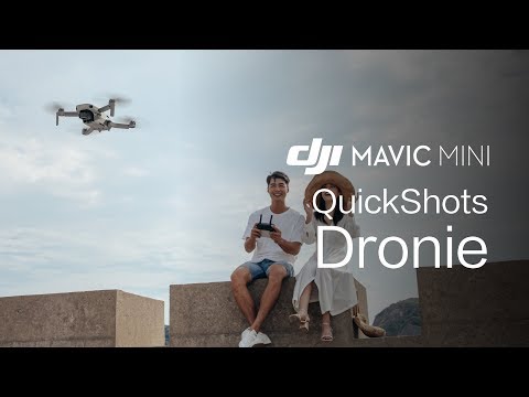 Mavic Mini | How To Perform A \