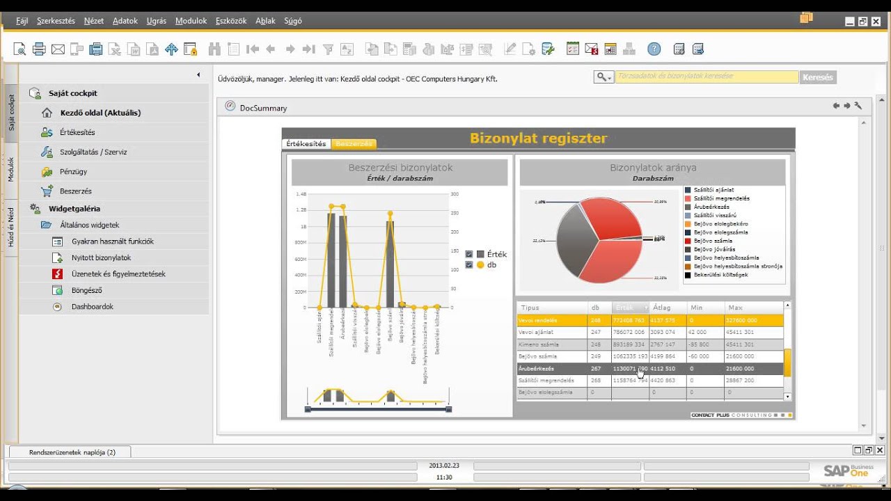 SAP Business One Dashboard - CPC - YouTube