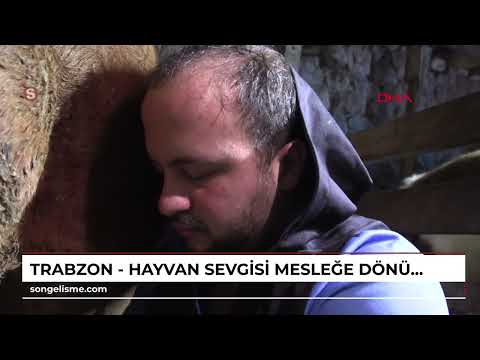 TRABZON - Hayvan sevgisi mesleğe dönüştü (VİDEO EKLENDİ)