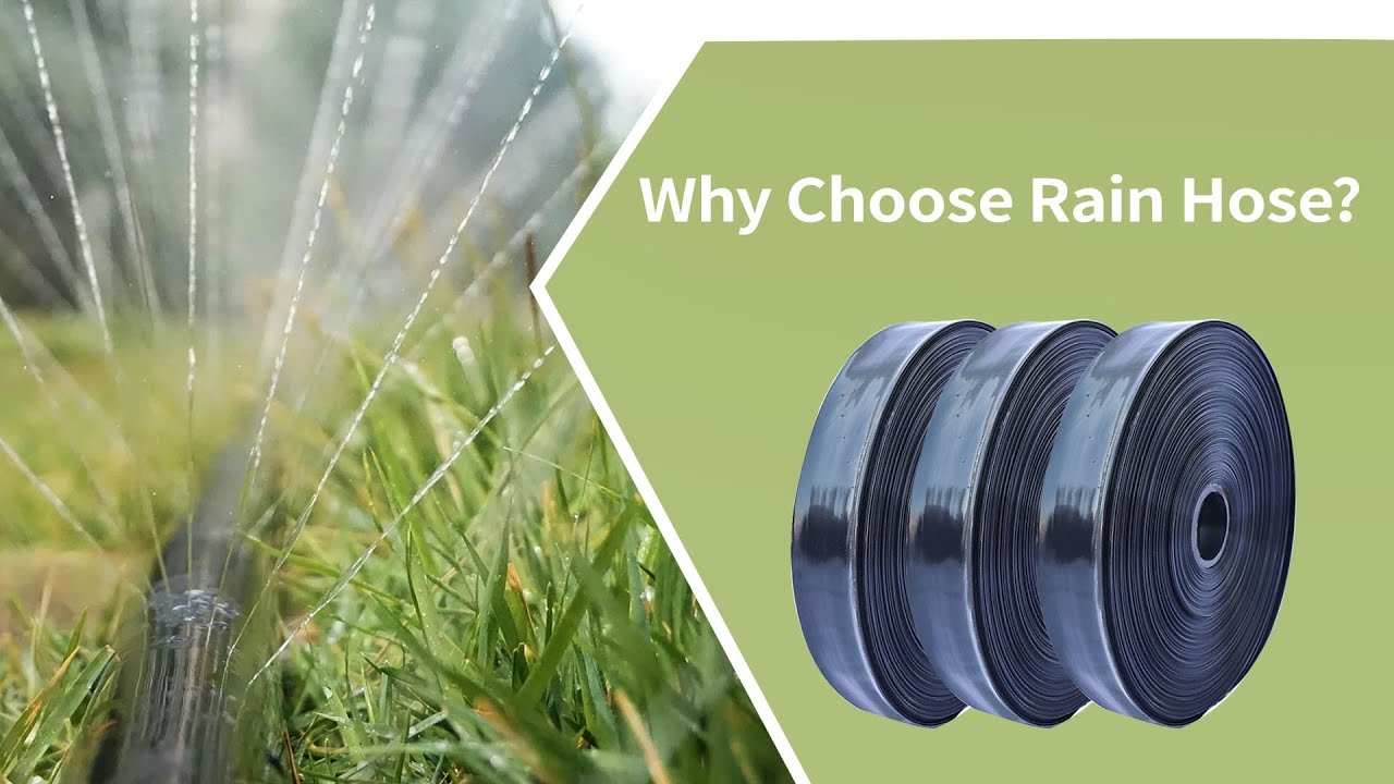 Why choose rain hose irrigation system? - YouTube