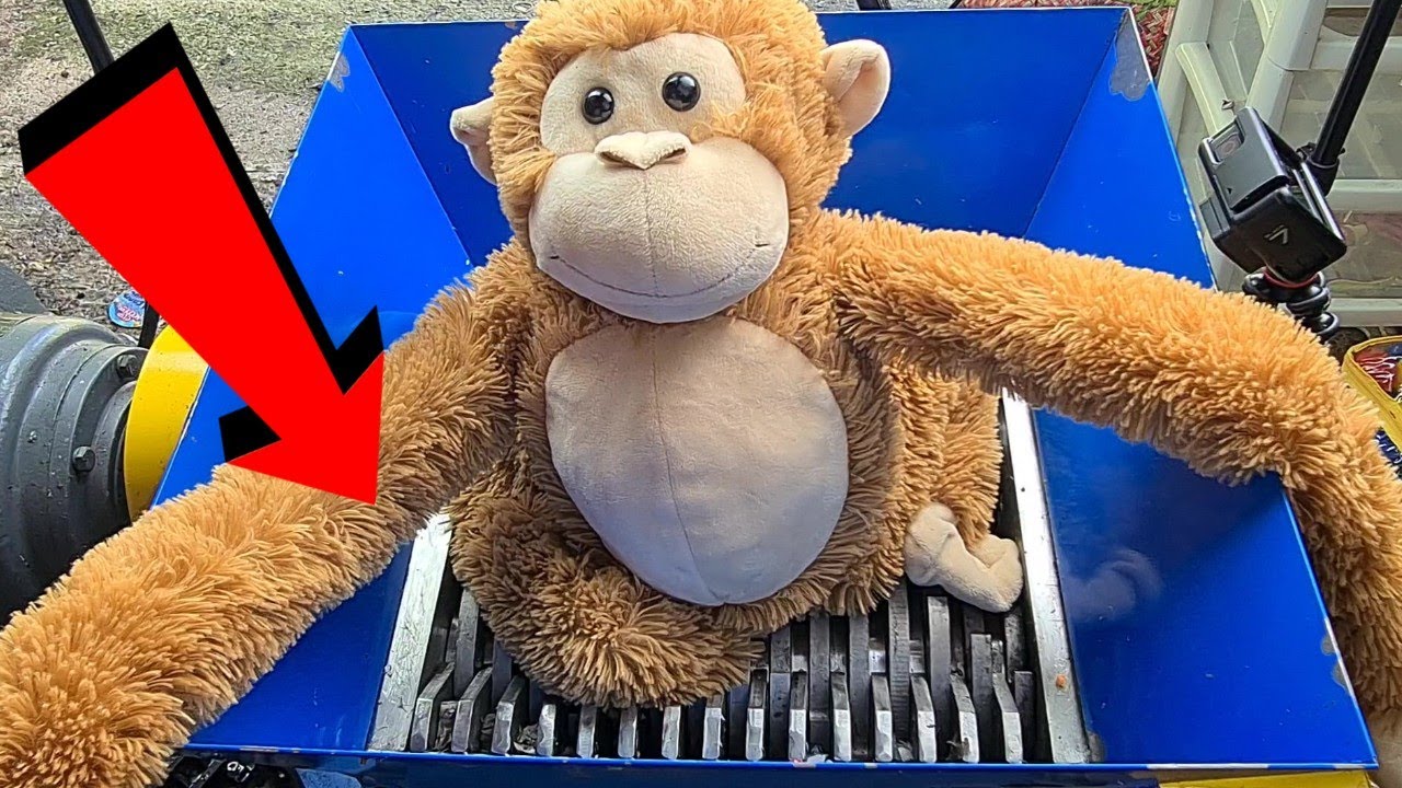 SHREDDER VS Monkey (Compilation) - YouTube