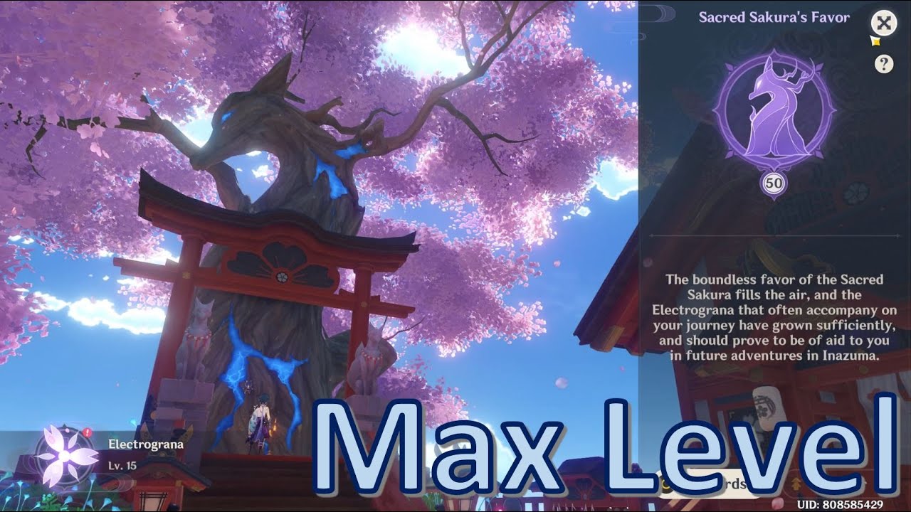 Max Level Reward List Sacred Sakura [Inazuma v 2.4] - YouTube