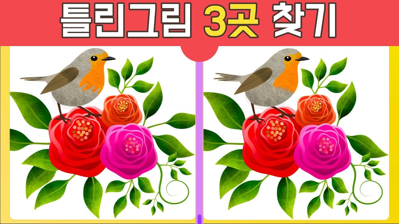 기억력 향상 프로젝트 동백꽃 위의 새 틀린그림찾기 Find The 3 Differences 집중력 기억력 다른그림
