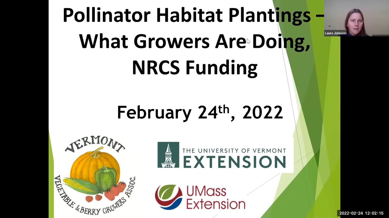 Pollinator Habitat Plantings - What Growers Are Doing, NRCS Funding ...