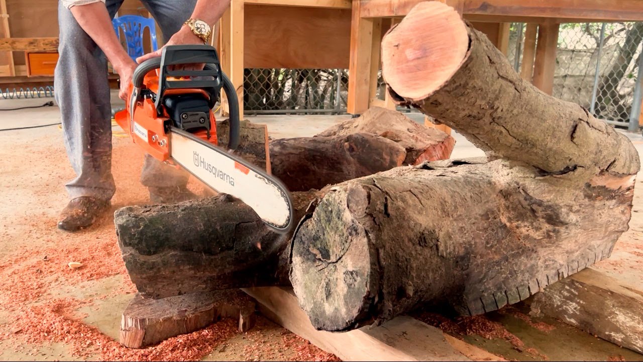 Creating High-End Interior From Discarded Tree Trunks | Elegant Design ...