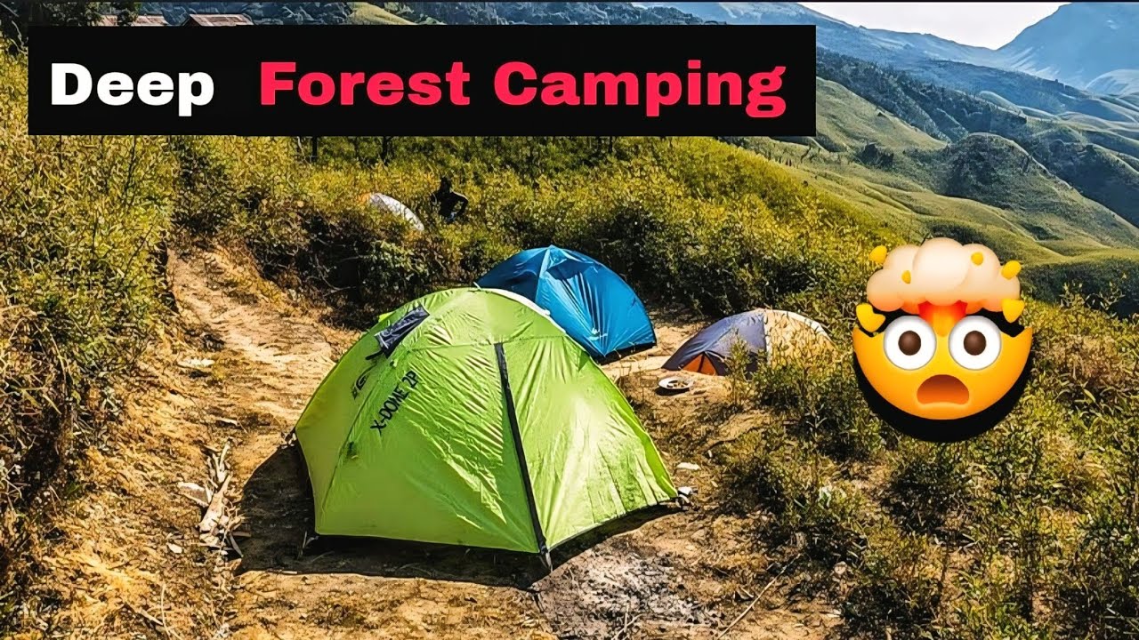 Deep Forest in India camping | camping in India | rain camping in India ...