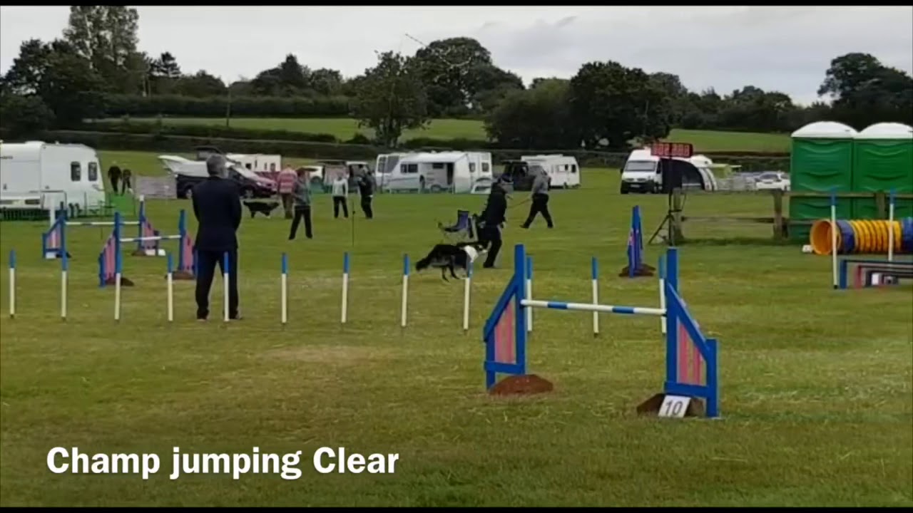 Taff @ Gillingham 2019 - YouTube