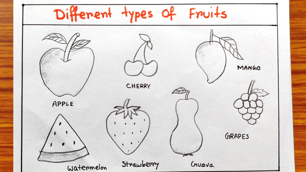 Fruit sketch drawing step by step | How to draw sketch of Fruit ...