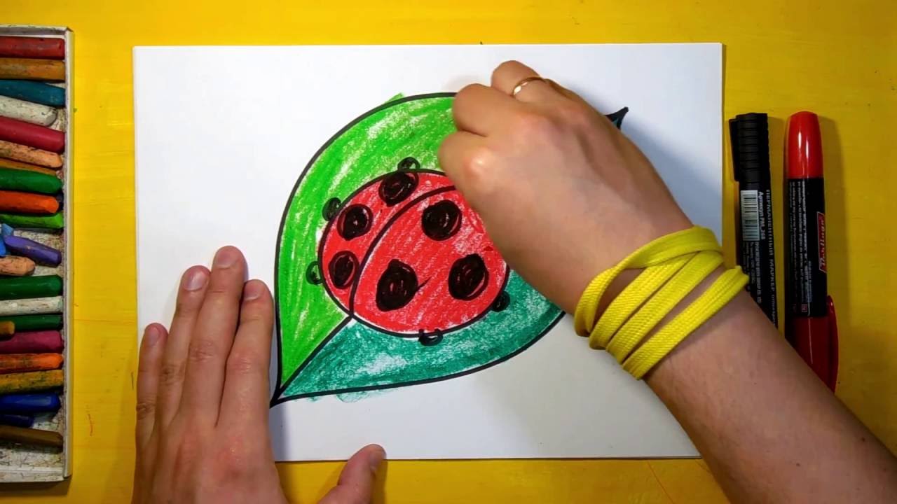 How to draw a ladybird - YouTube