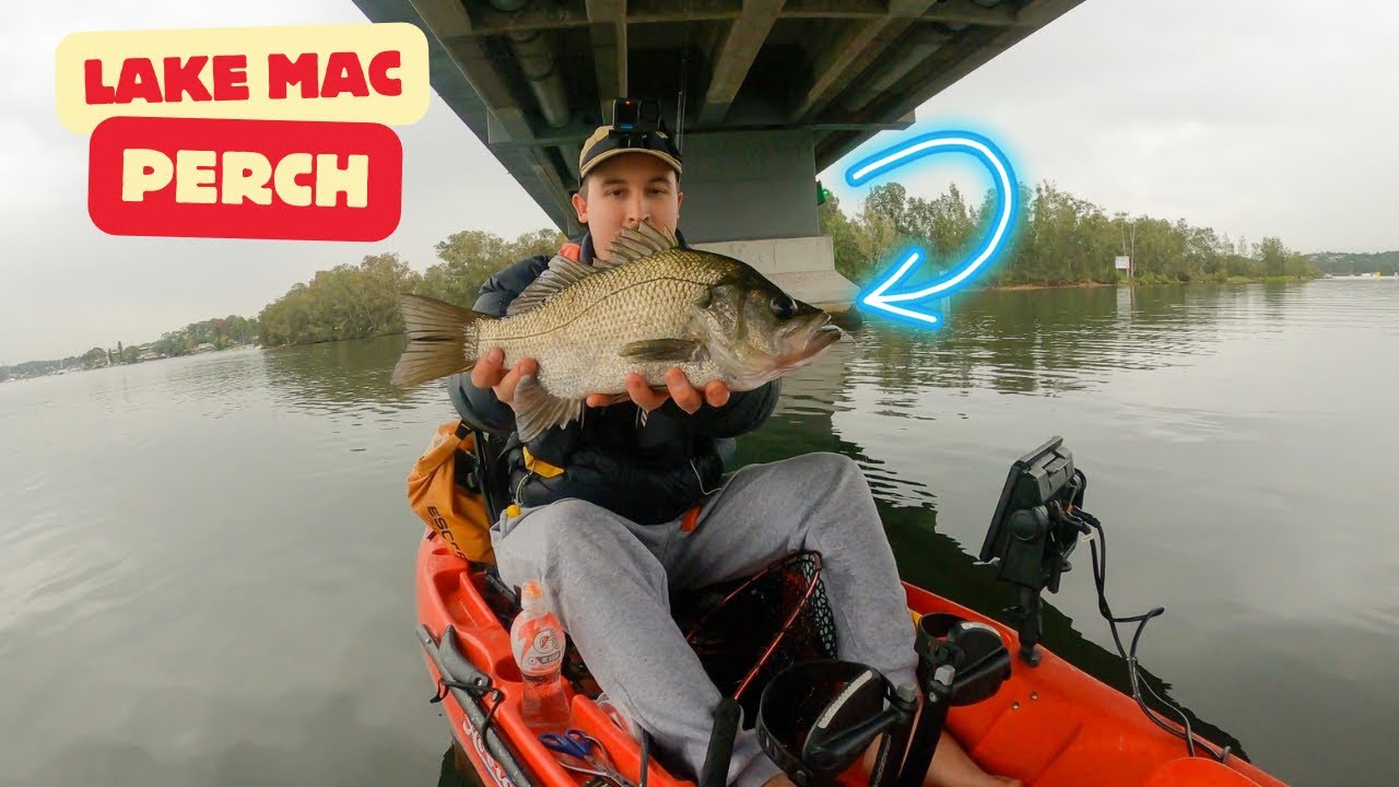LAKE MAC EP and BIG BREAM up Stoney CREEK! - YouTube