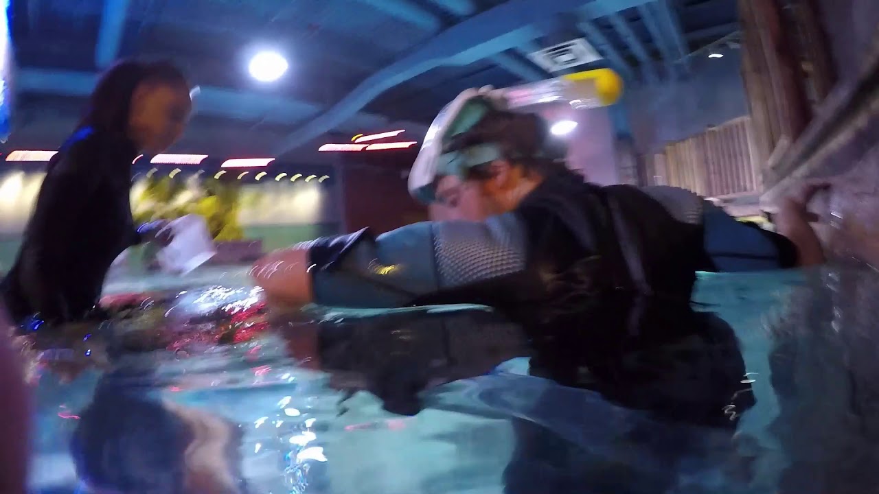 Hunter Swims With Stingrays - YouTube