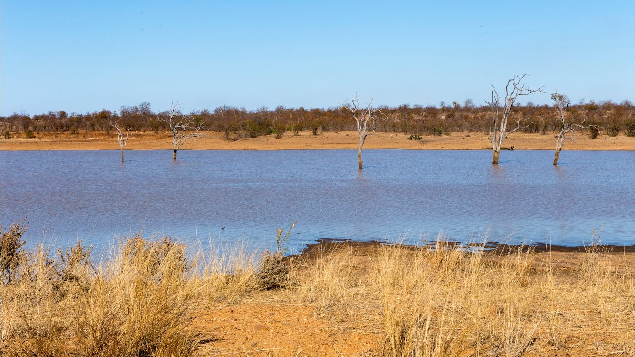 Sable Dam und Letaba | Kruger Nationalpark Südafrika - YouTube