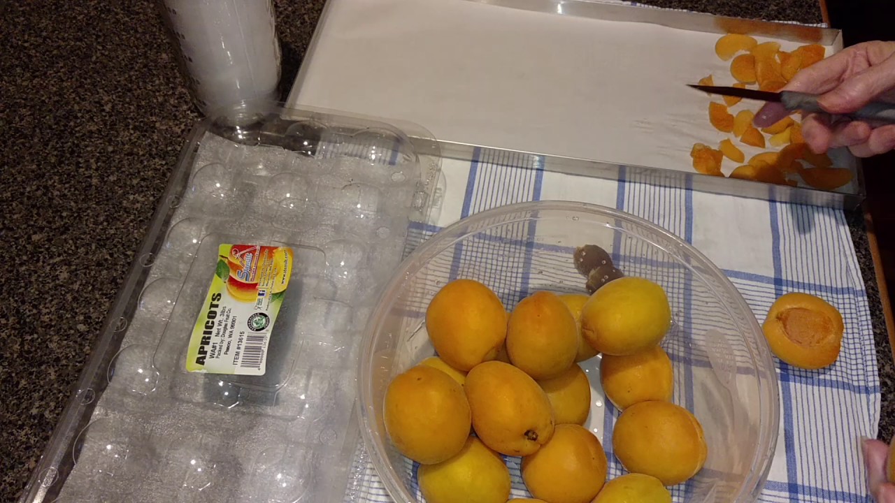 Slicing Apricots to freeze dry with my Harvest Right freeze dryer or to ...