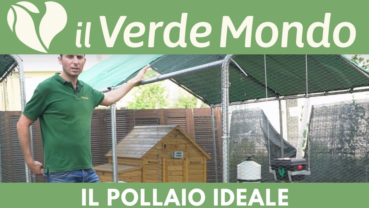Il Pollaio Ideale Secondo Il Verde Mondo - YouTube