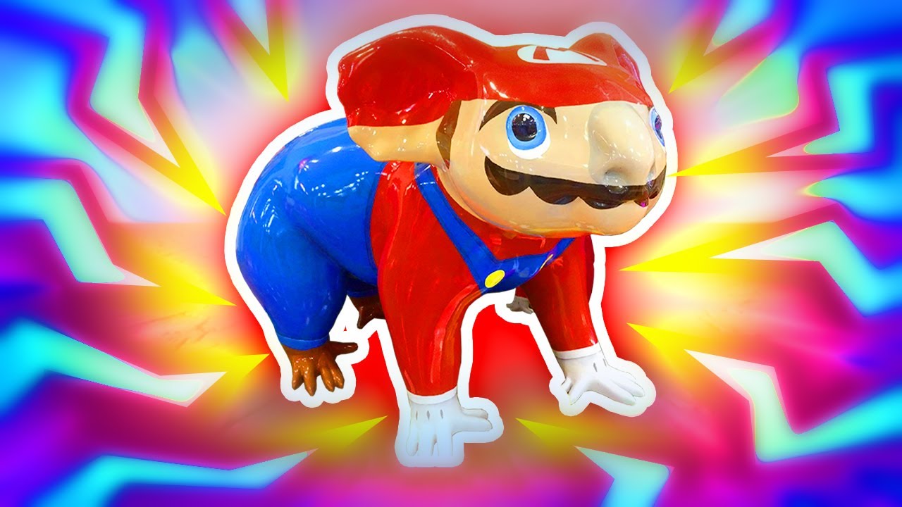 Finding The Cursed Mario Koala - YouTube