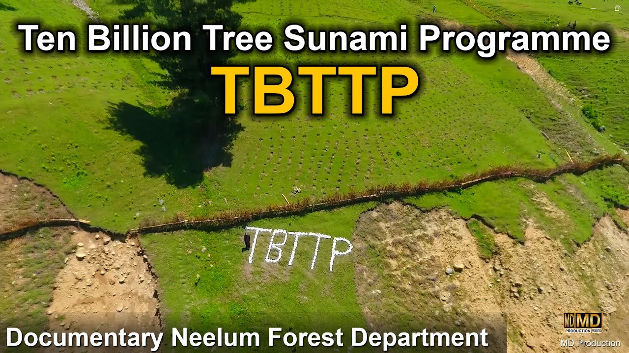 Ten Billion Trees Tsunami Programme / Documentary Neelum Forest ...