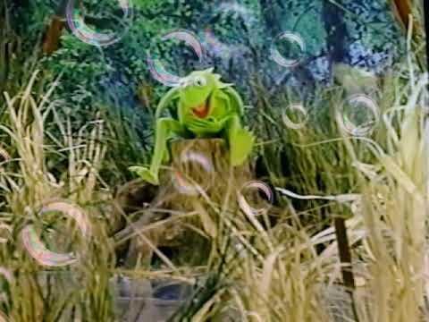 The Best of Kermit on Sesame Street (2002) - YouTube