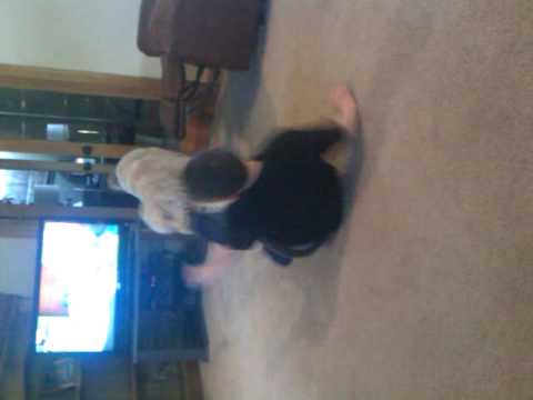 chubby kid pantsed - YouTube