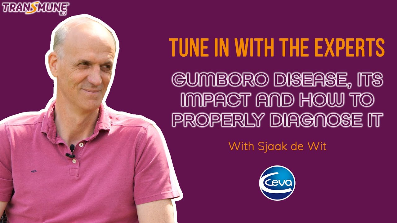 [Special] Gumboro disease. Its impact and how to properly diagnose it ...
