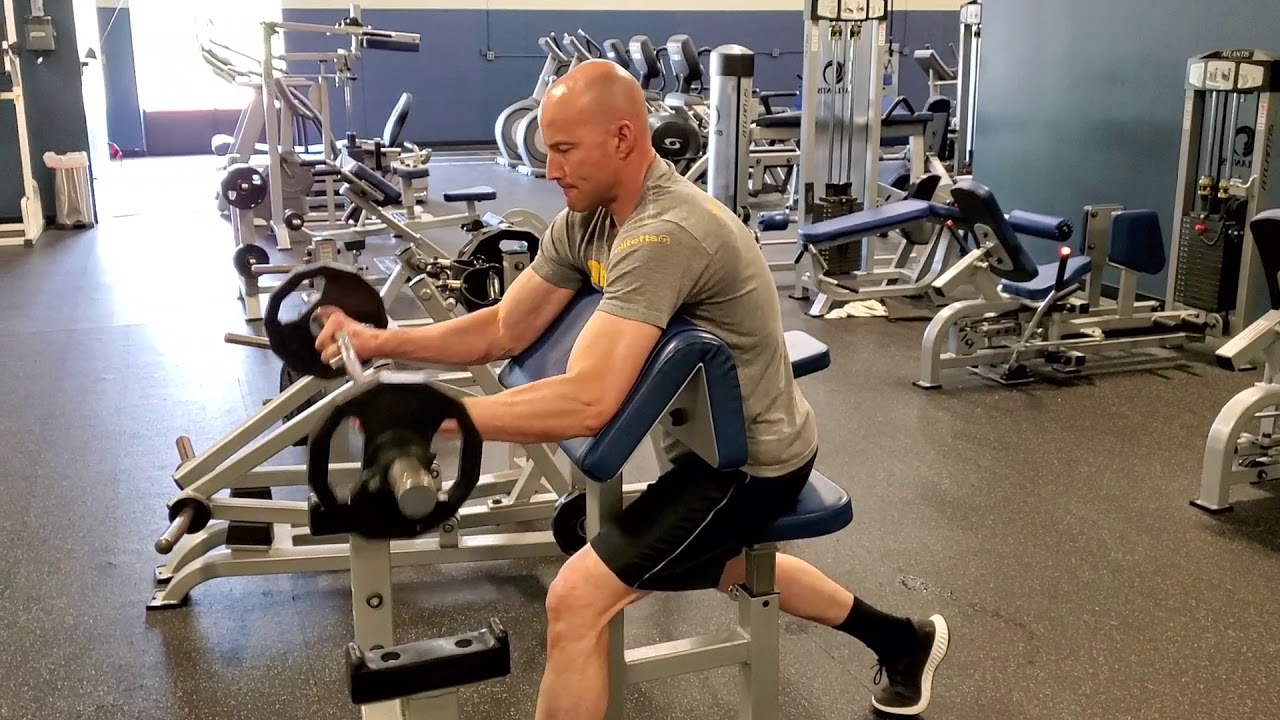Ez Bar Reverse Grip Preacher Curl Youtube