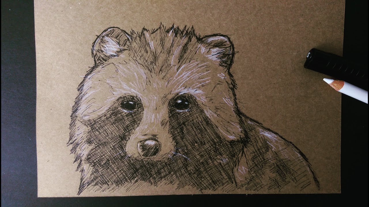 I'm drawing a Tanuki - Timelapse - YouTube