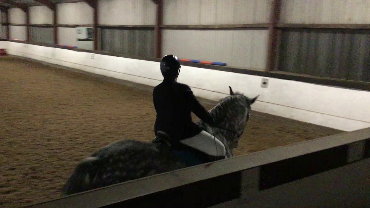 Interdressage Sarah Sinfield & Flynn 2AA Walk & Trot #1 Croft End RS ...