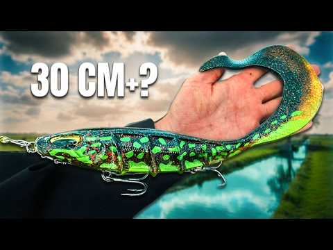 48h mit XXL-Ködern im Mini-Gewässer - das hätten wir nicht erwartet. 🐊