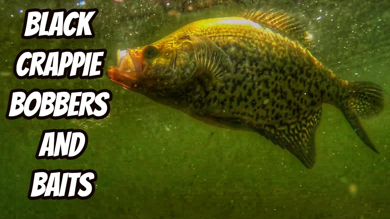 BLACK CRAPPIE, BOBBERS AND BAITS- Crappie Machine S1 E4 - YouTube
