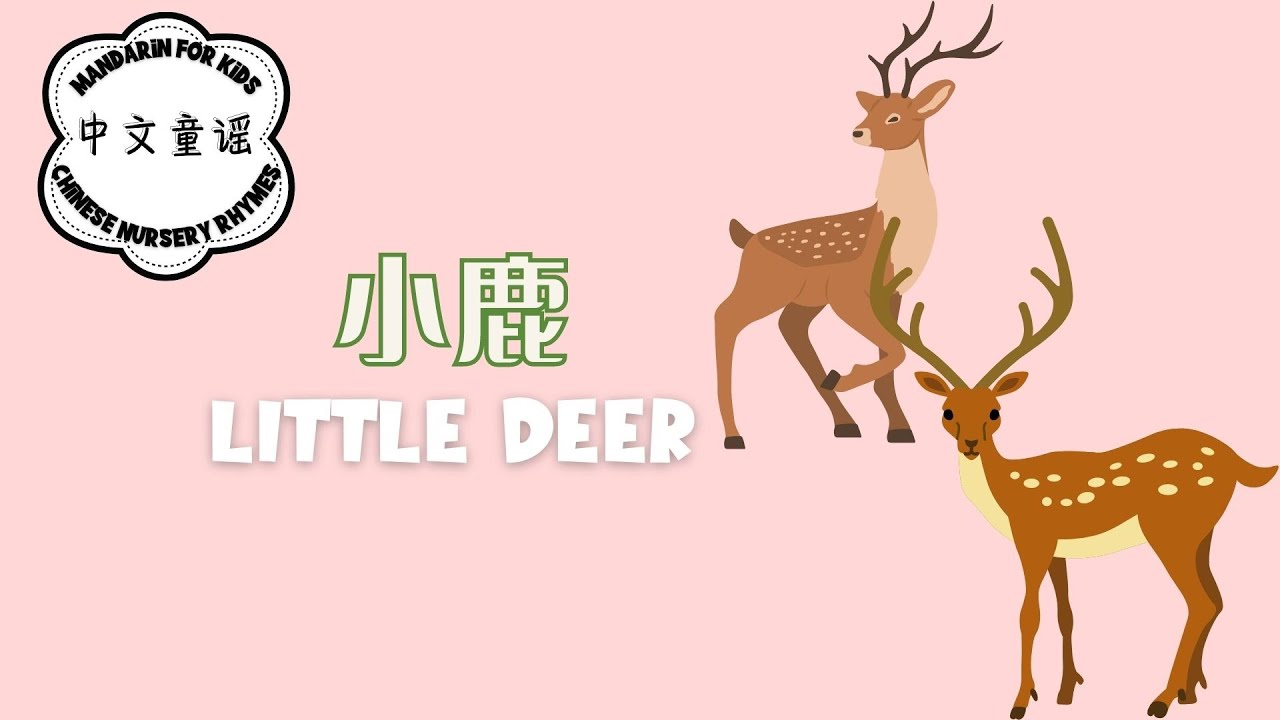 Chinese learning videos for kids