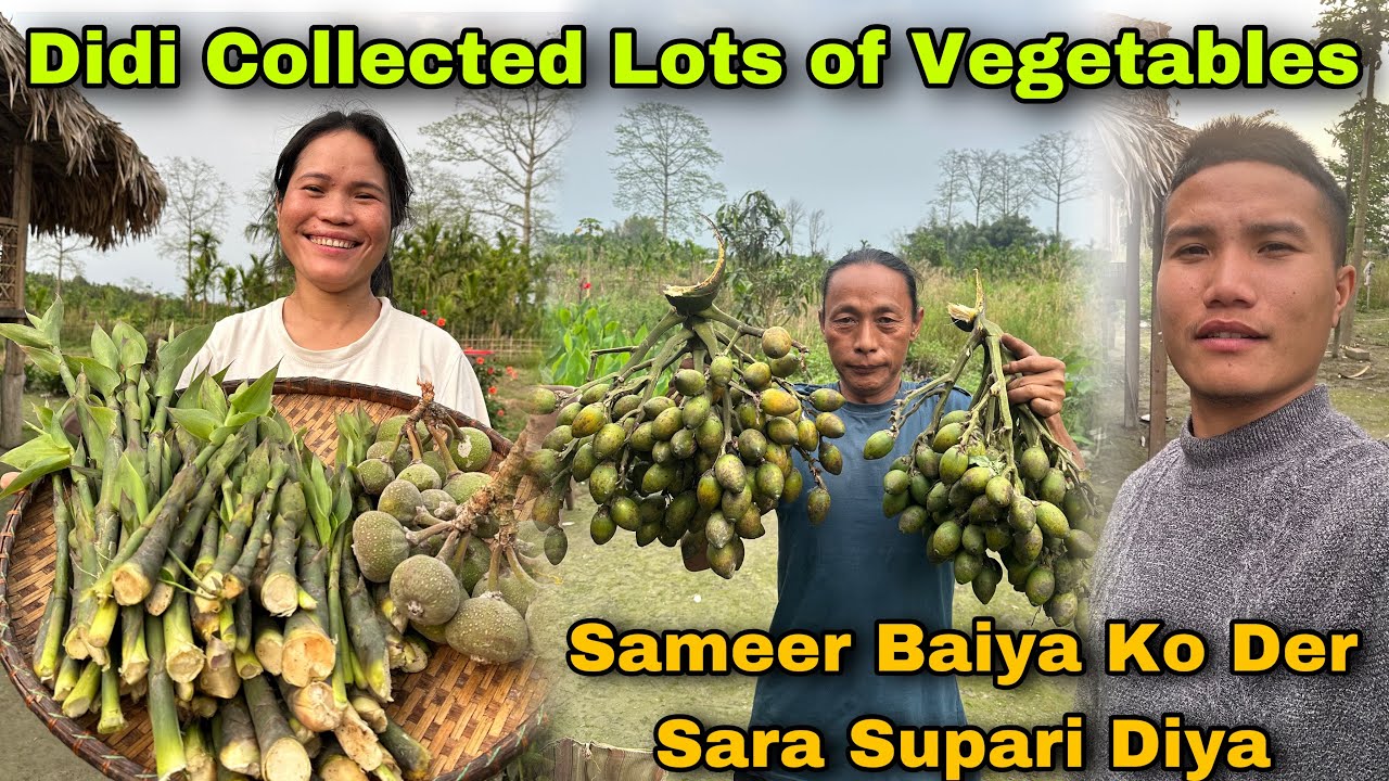 Didi Collected Lots of Vegetables ||Bamboo Shoots,Fig Fruits,Fiddle ...