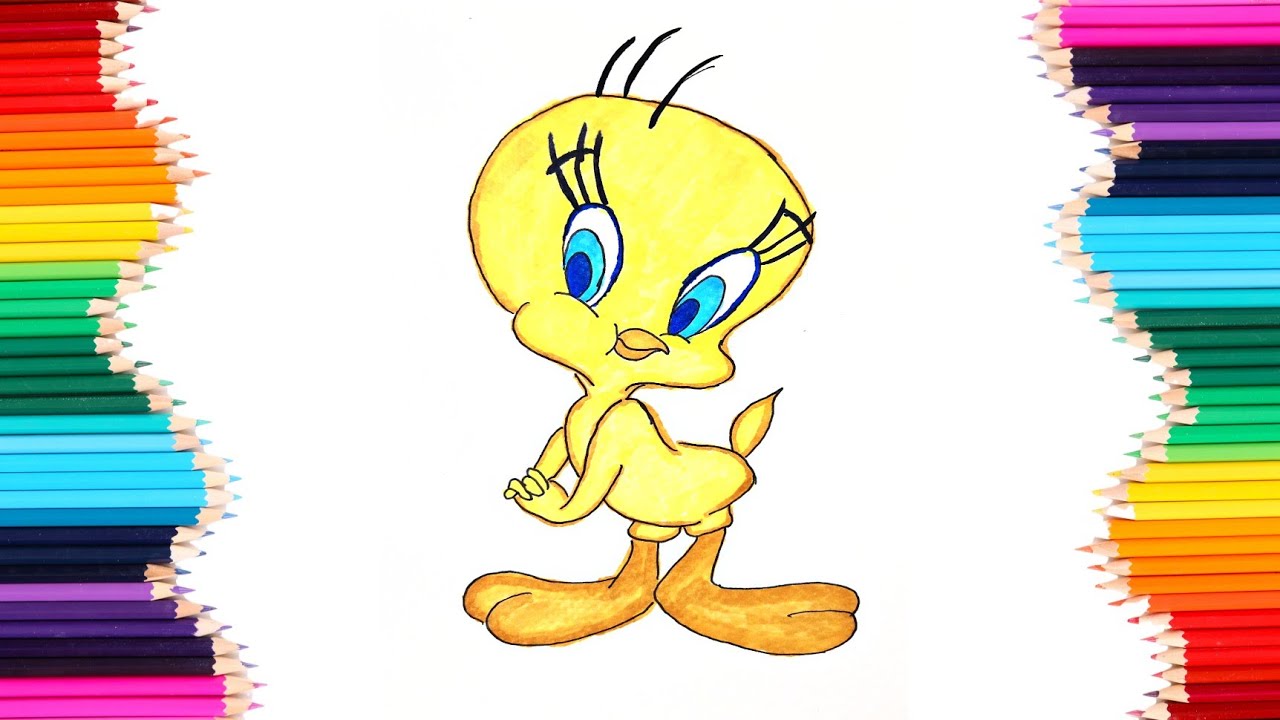 How to Draw Tweety Bird, birds drawings, Tuni Chidiya, Tuni Chidiya ...