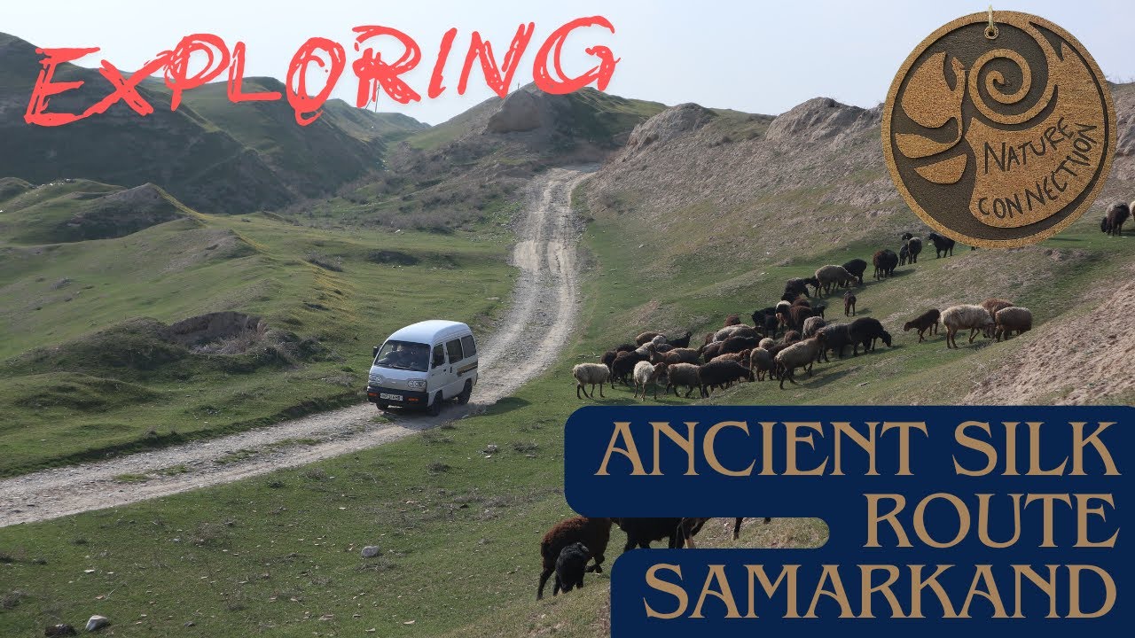 Exploring the Ancient Silk Road | Samarkand Uzbekistan | Registan Light ...
