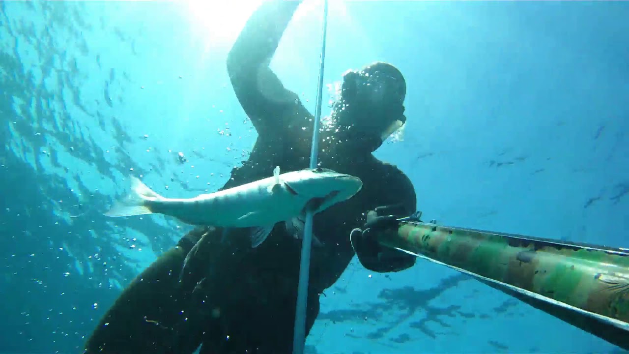 ψαροντουφεκο 15 8 2017 μερος 1ο spearfishing - YouTube