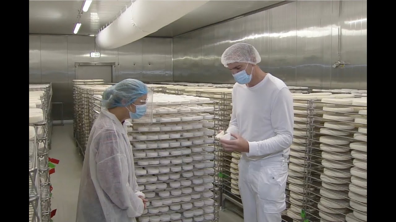 Ennstal Milch: Klimaschonende Weichkäseerzeugung - YouTube