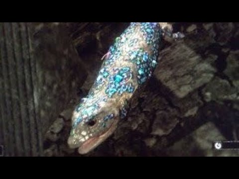 Demon's Souls Remake - Get All Crystal Lizards In The Cave (No Magic ...