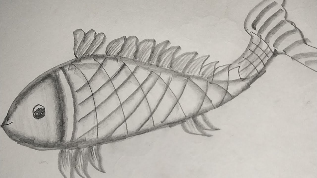 मछली बनाना सीखे|how to draw a fish | pencil se fish drawing banana ...