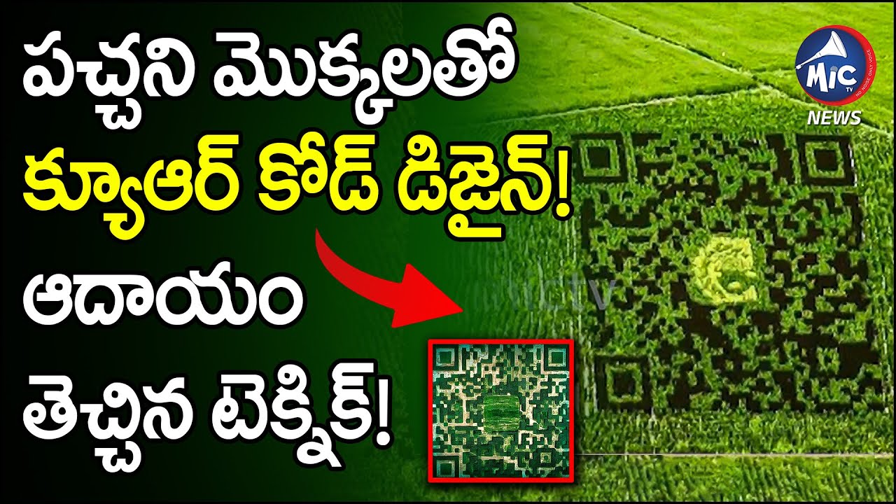 China’s Giant Green QR Code Made from Plants | Tourists & Locals ...
