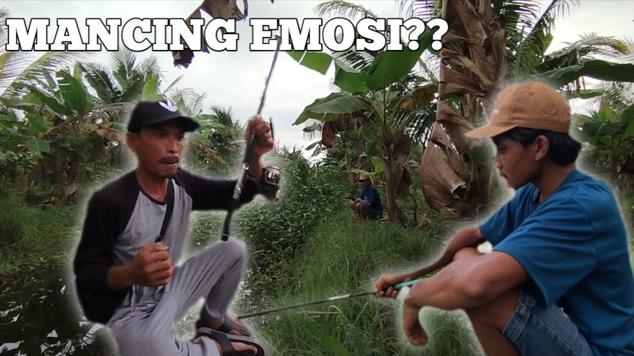 🔴MANCING KERIBUTAN - YouTube
