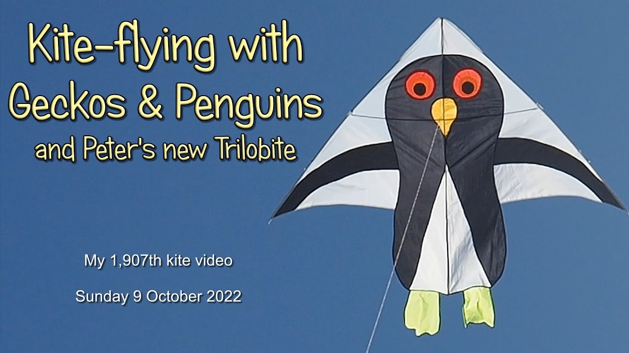 Kite-flying with Geckos & Penguins and Peter's new Trilobite - YouTube