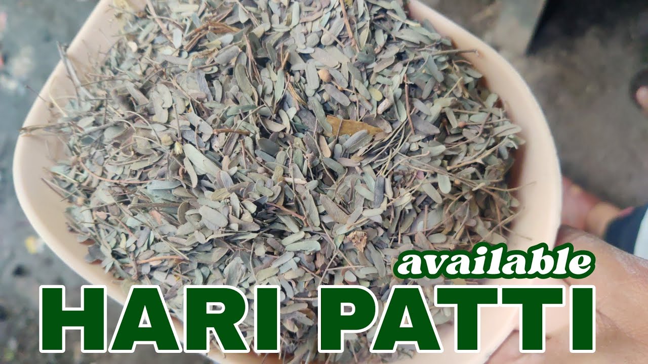 Hari Patti aagayi hai!! P&S Gold Feed also available | P&S Agro - YouTube